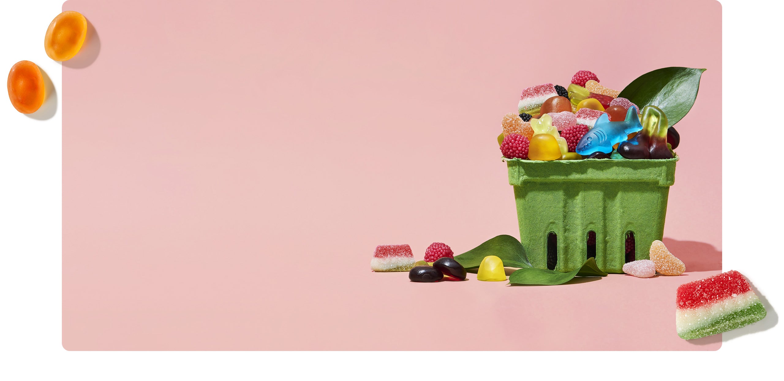 Squish Candy | Artfully Crafted Gummies